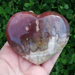 Extra Large Petrified Wood Heart Polished Fossilized Wood Heart ...