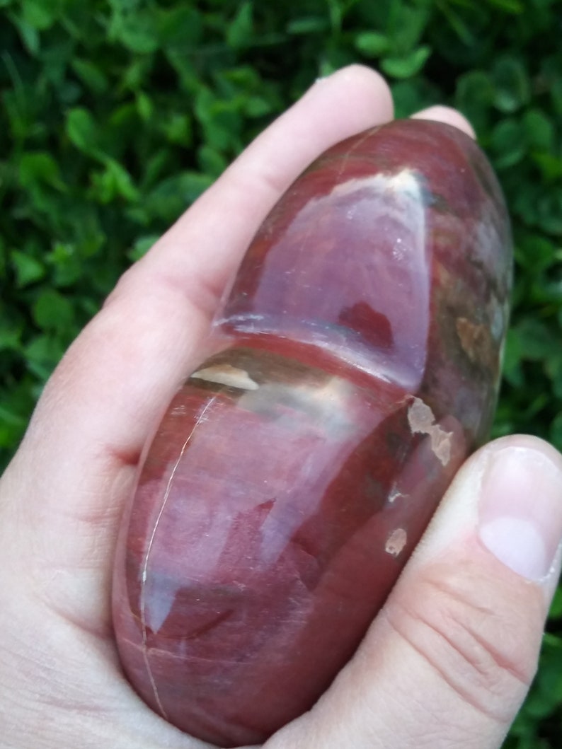 Extra Large Petrified Wood Heart Polished Fossilized Wood - Etsy