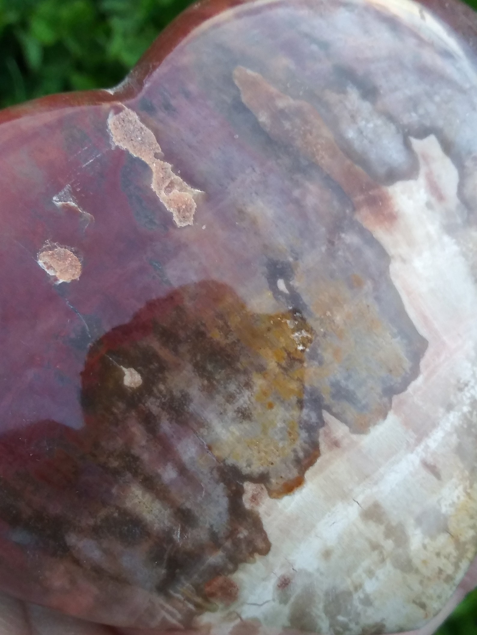 Extra Large Petrified Wood Heart Polished Fossilized Wood - Etsy