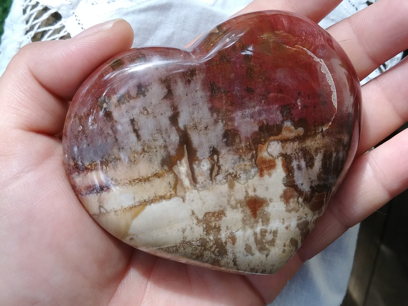 Extra Large Petrified Wood Heart Polished Fossilized Wood - Etsy