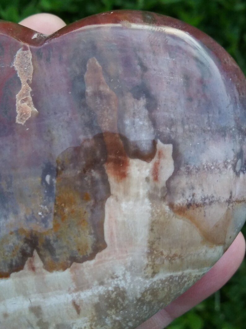 Extra Large Petrified Wood Heart Polished Fossilized Wood - Etsy