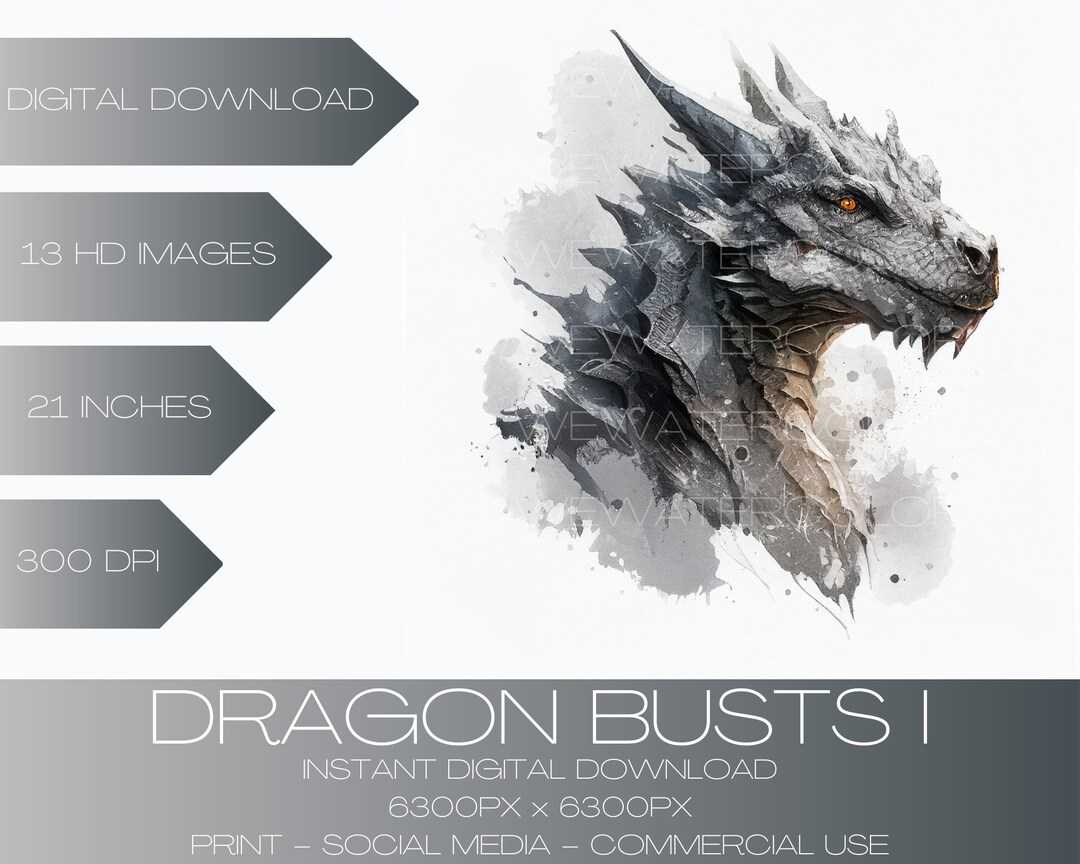 Dragon Busts I - Fantasy - Watercolor Style - Clip Art - Digital Art Download - 300 DPI - PNG ...
