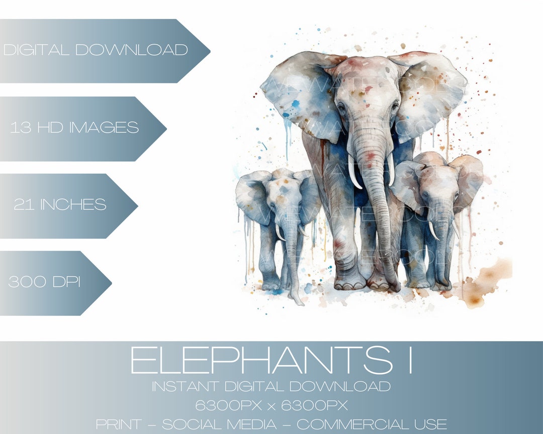 Elephants I - Watercolor Style - Clip Art - Digital Art Download - 300 ...
