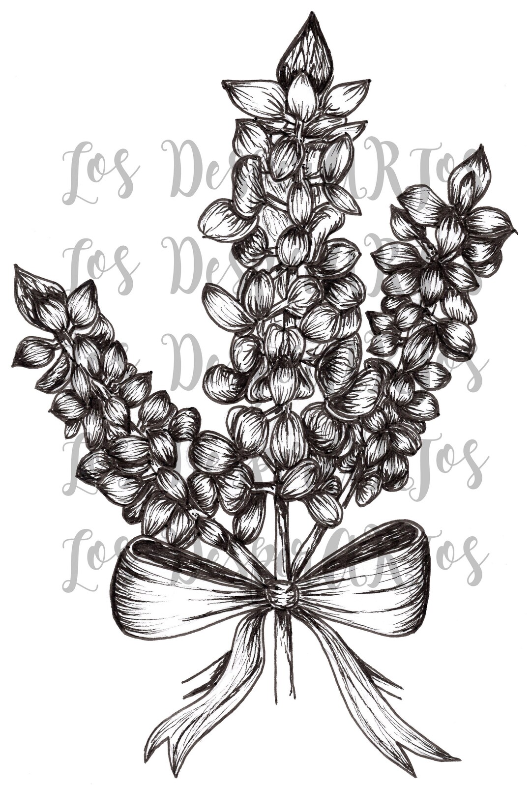 Texas Bluebonnet Digital Stamp - Etsy