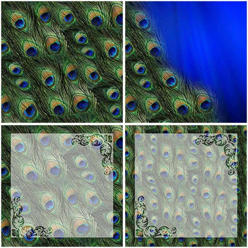 Peacock Blue Digital Paper, Peacock Scrapbook Paper, Peacock Printable ...