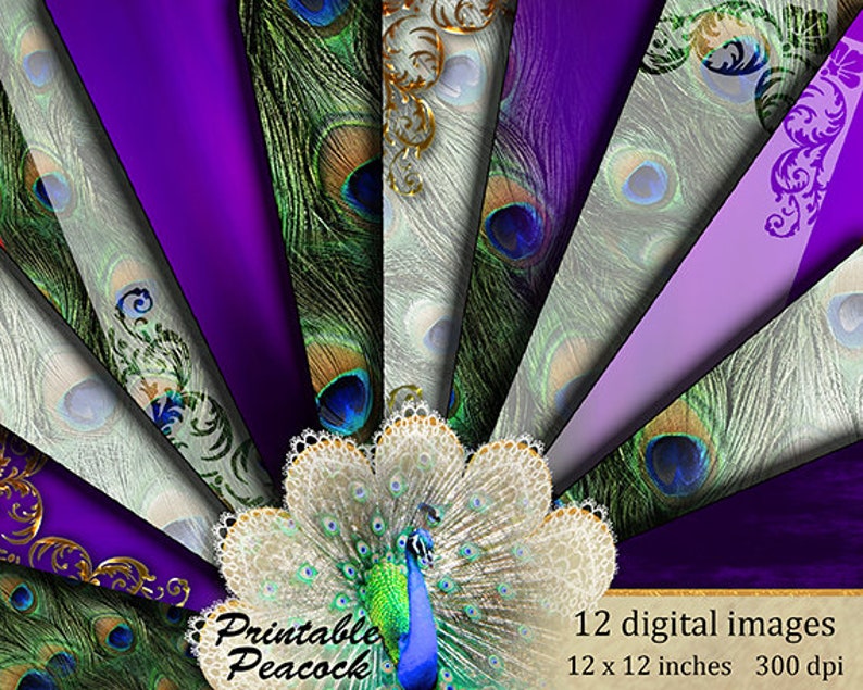 Peacock Purple Digital Paper, Peacock Scrapbook Paper, Peacock ...