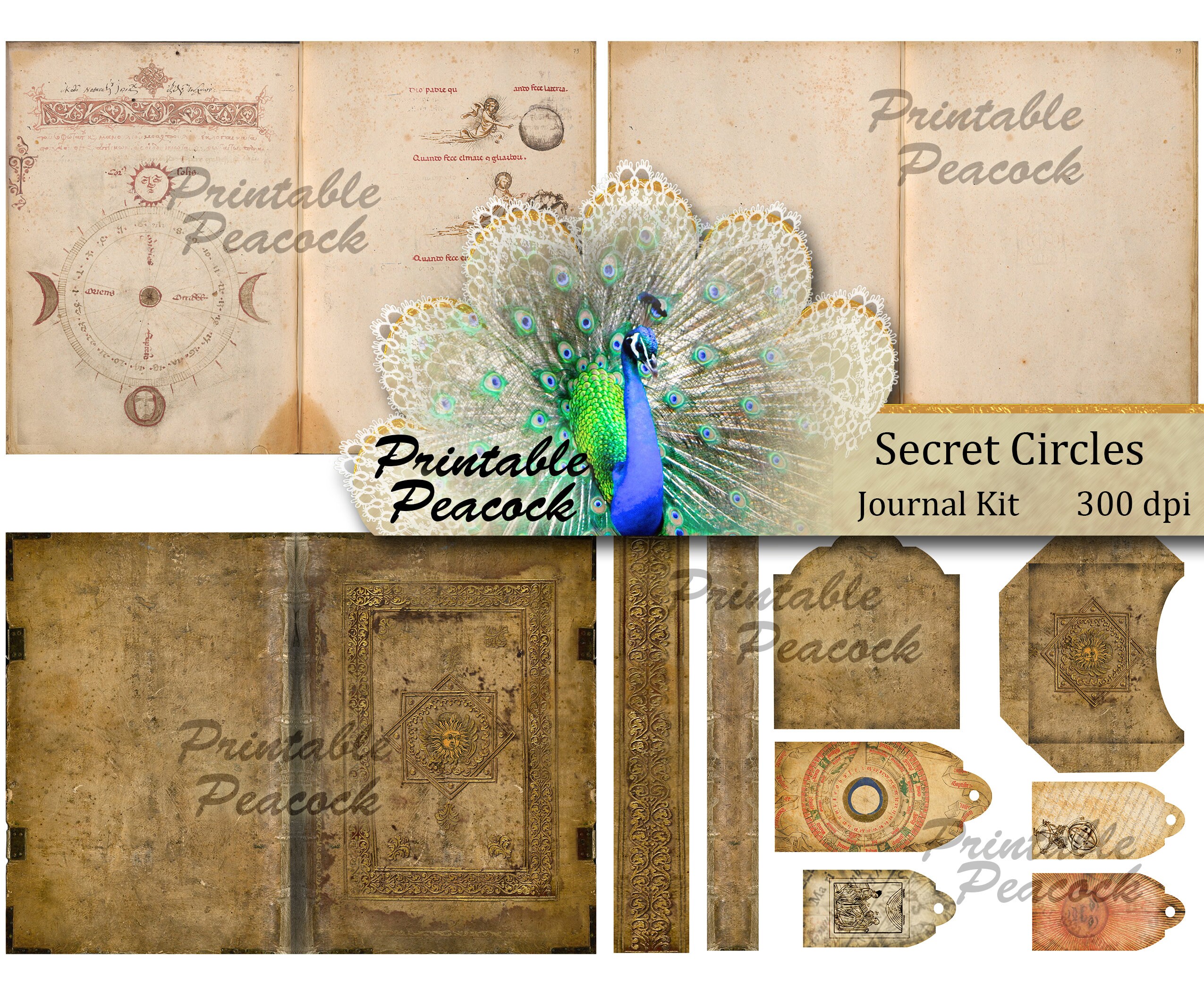 Secret Circles Printable Journal Kit, Junk Journal, Steampunk Journal ...