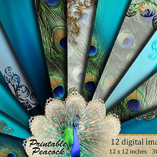 Peacock Feathers Premium Digital Paper Printable Scrapbook - Etsy