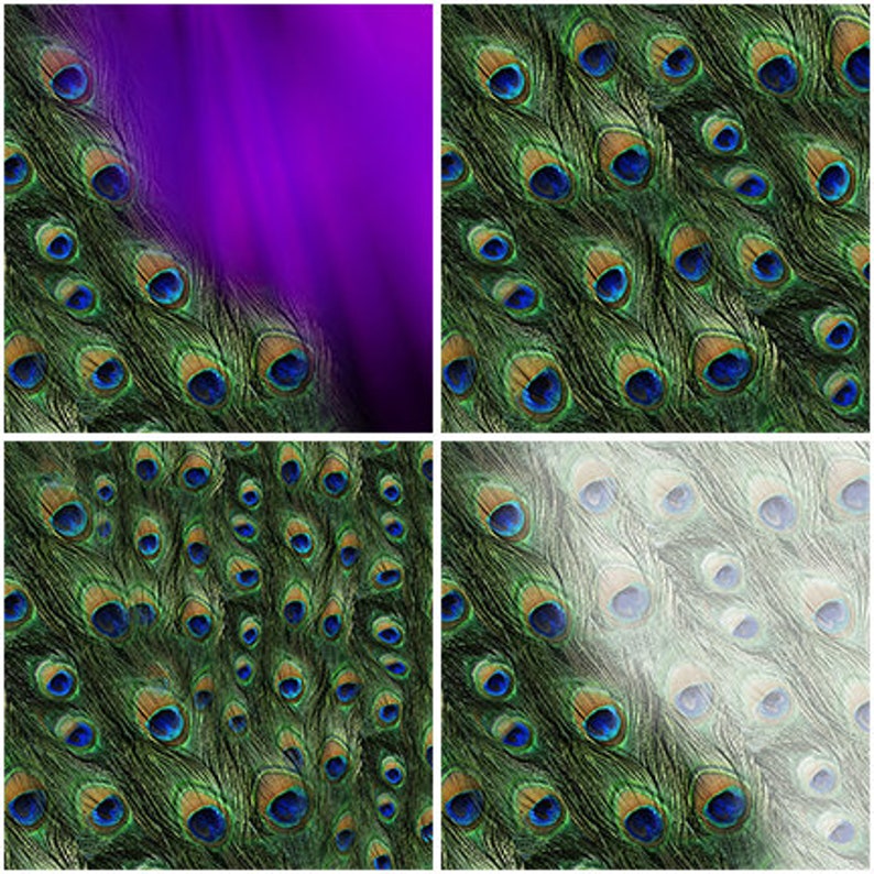 Peacock Purple Digital Paper, Peacock Scrapbook Paper, Peacock ...