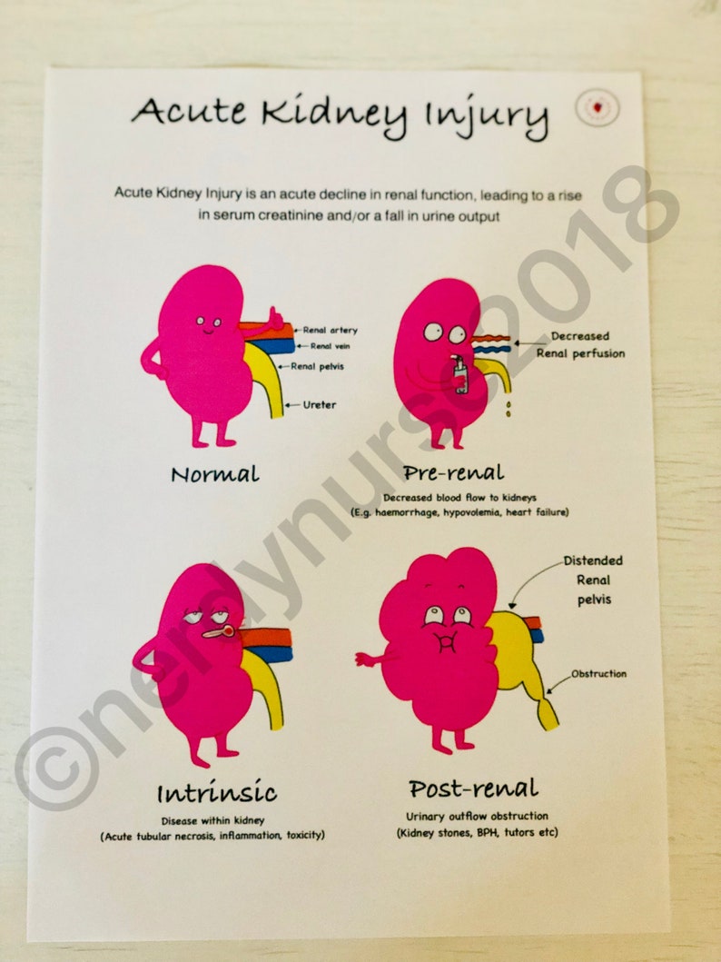 AKI types pdf download | Etsy
