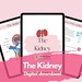 The Kidney Cheat Sheet for Student Nurses, Nursing Students, Student ...