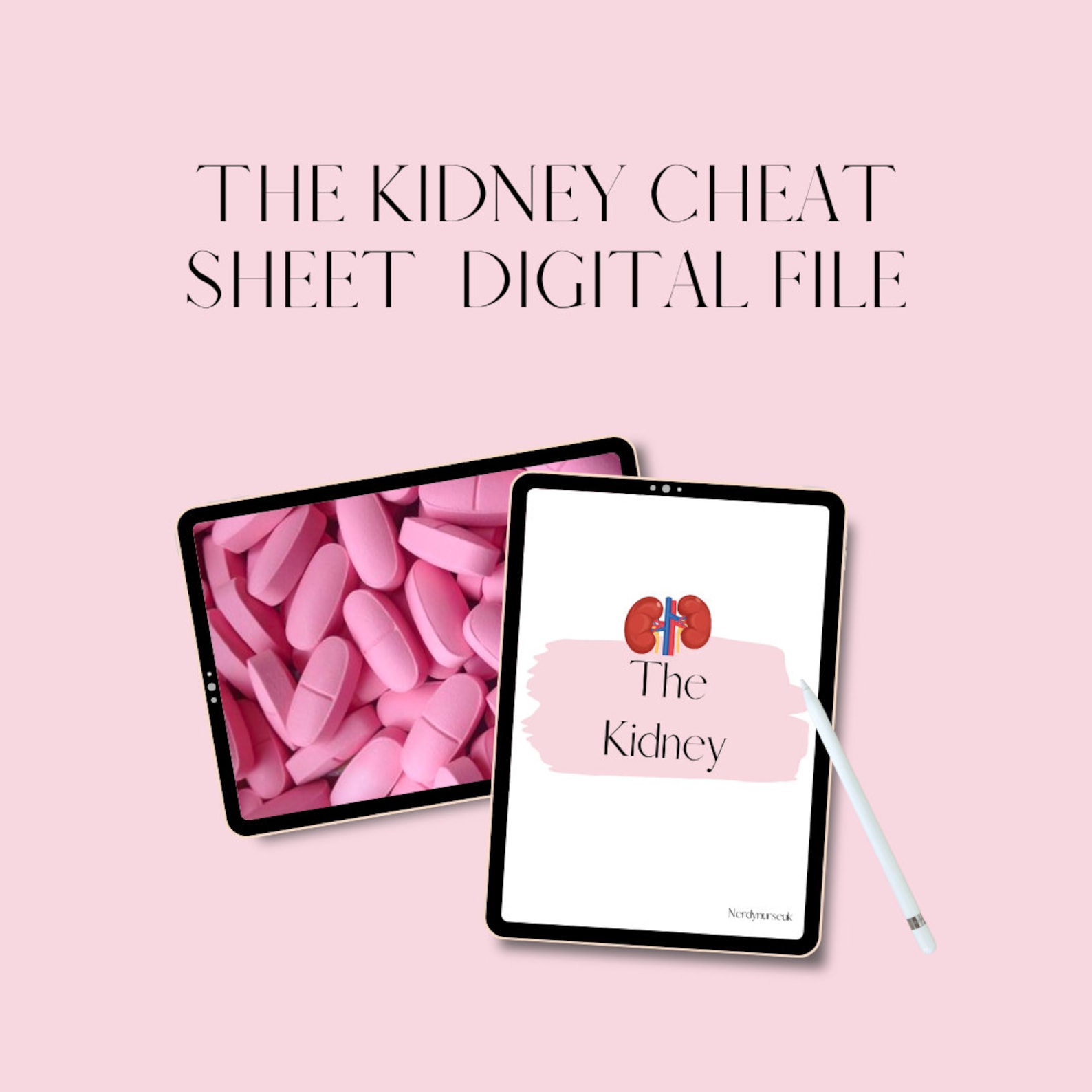 The Kidney Cheat Sheet for Student Nurses, Nursing Students, Student ...