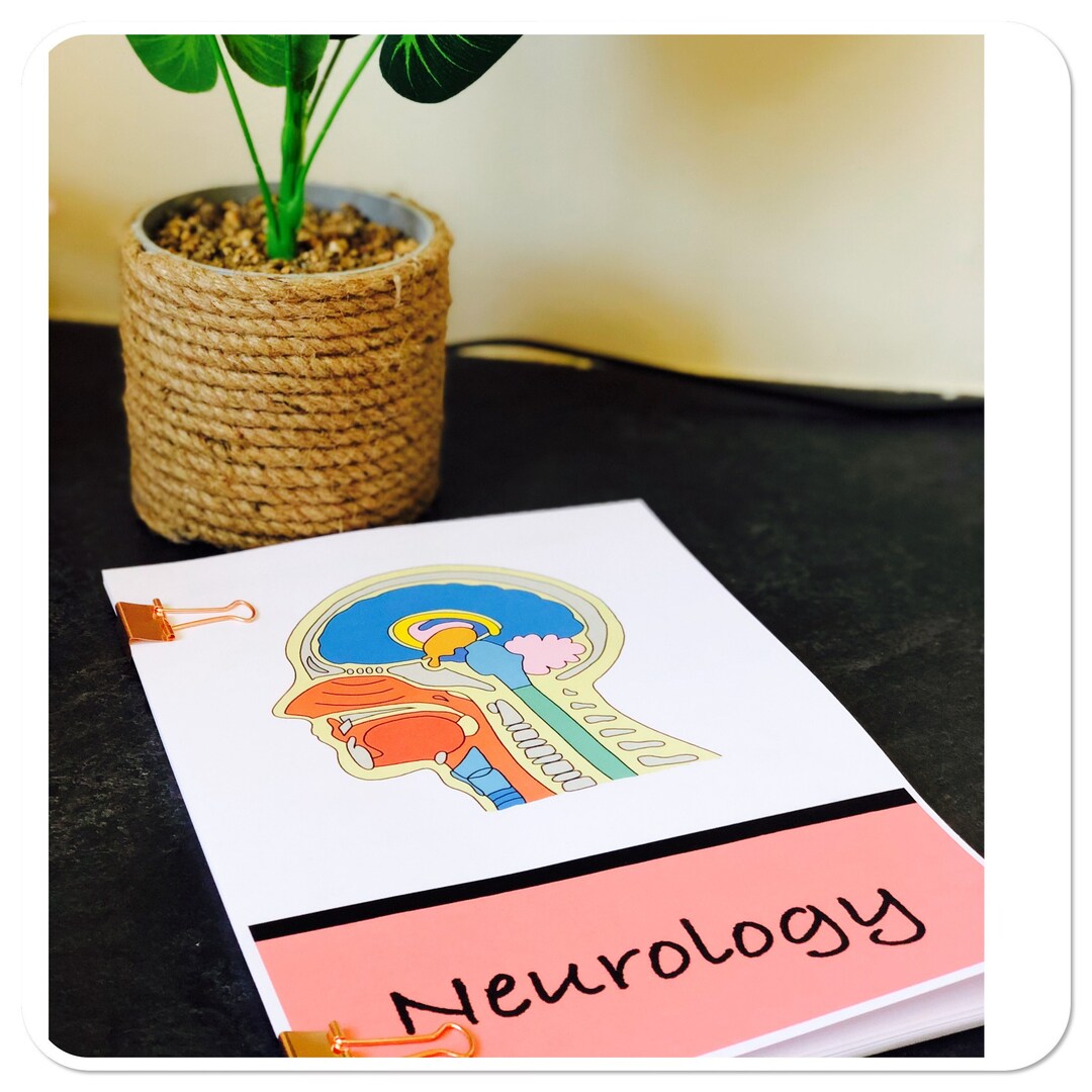 Neurology Notes Digital Download for Student Nurses, Nursing Students ...