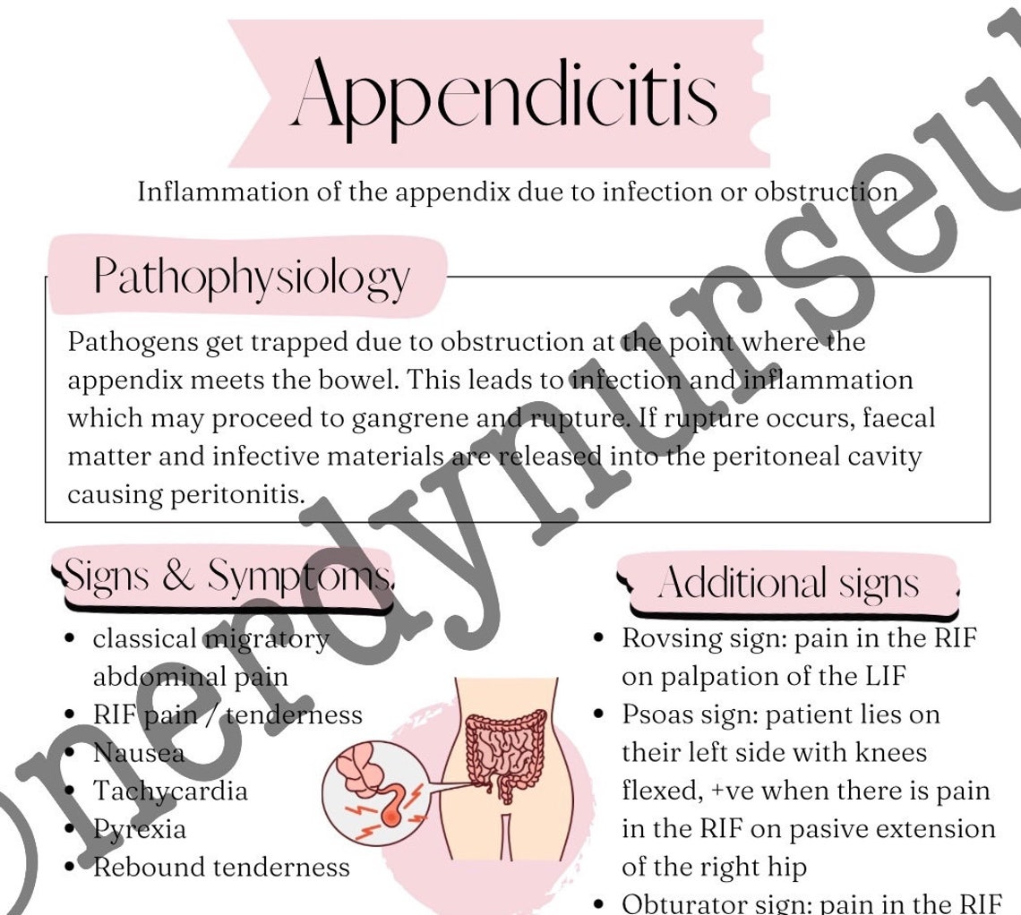 Appendicitis Nursing Study Sheet for Student Nurses Nursing - Etsy UK