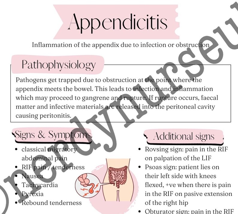 Appendicitis Nursing Study Sheet for Student Nurses, Nursing Students ...