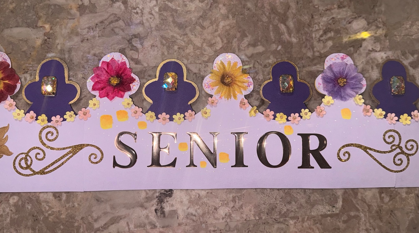 Senior Crown Rapunzel Theme, Senior Crown - Etsy
