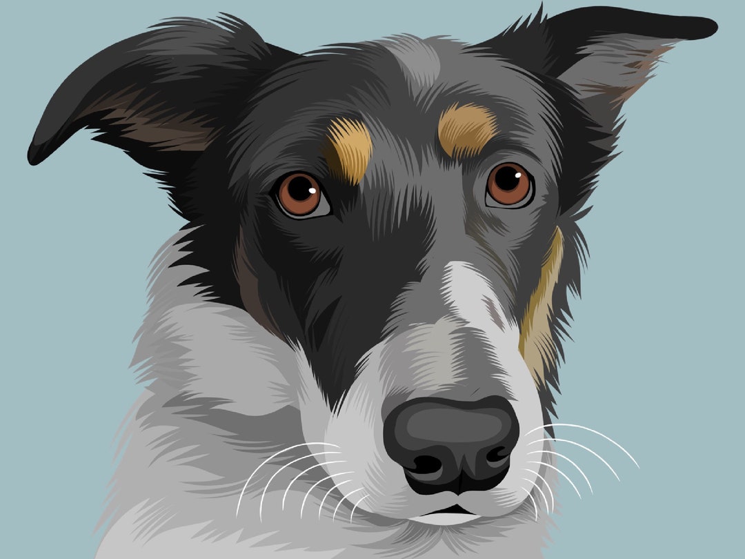 Turn Your Pet Into a Cartoon | Cartoonise Your Dog or Cat, Pet Portrait ...