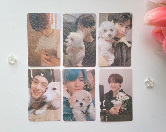 Cute ENHYPEN NCT Dream Tomorrow by Together TXT Pet Holographic ...