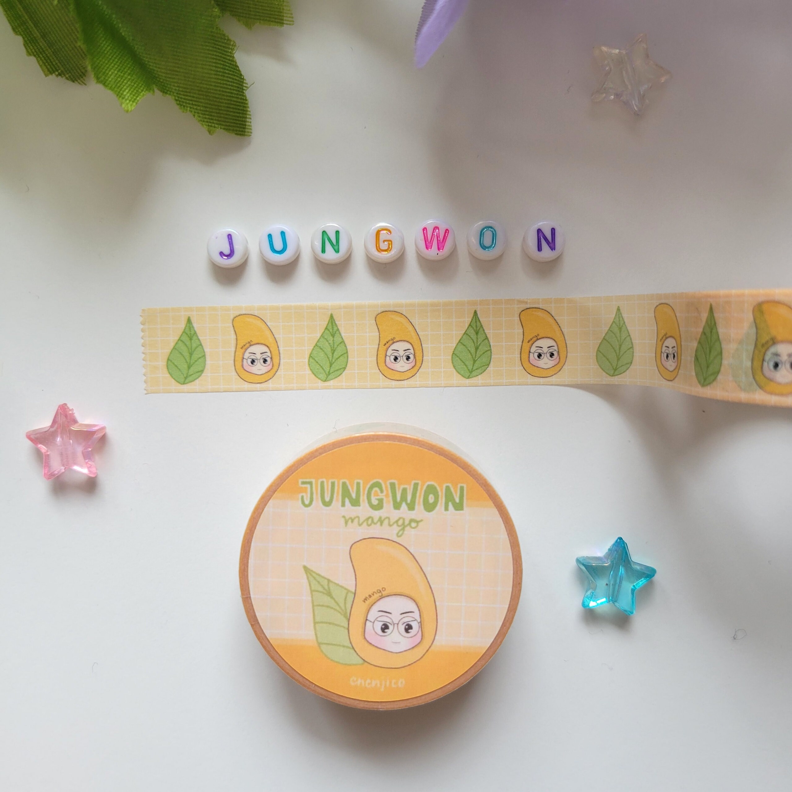 ENHYPEN Chamber 5 Fruit Juice Grid Washi Tape K-pop - Etsy Canada