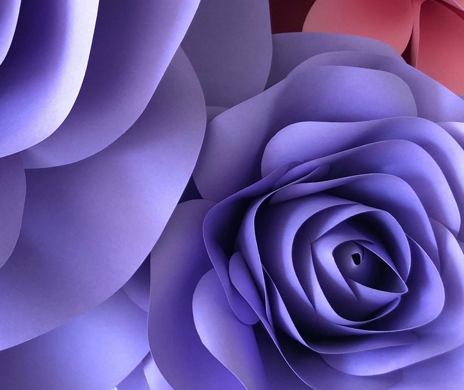 PDF Rose Paper Flower Template DIY Paper Flower for Event | Etsy