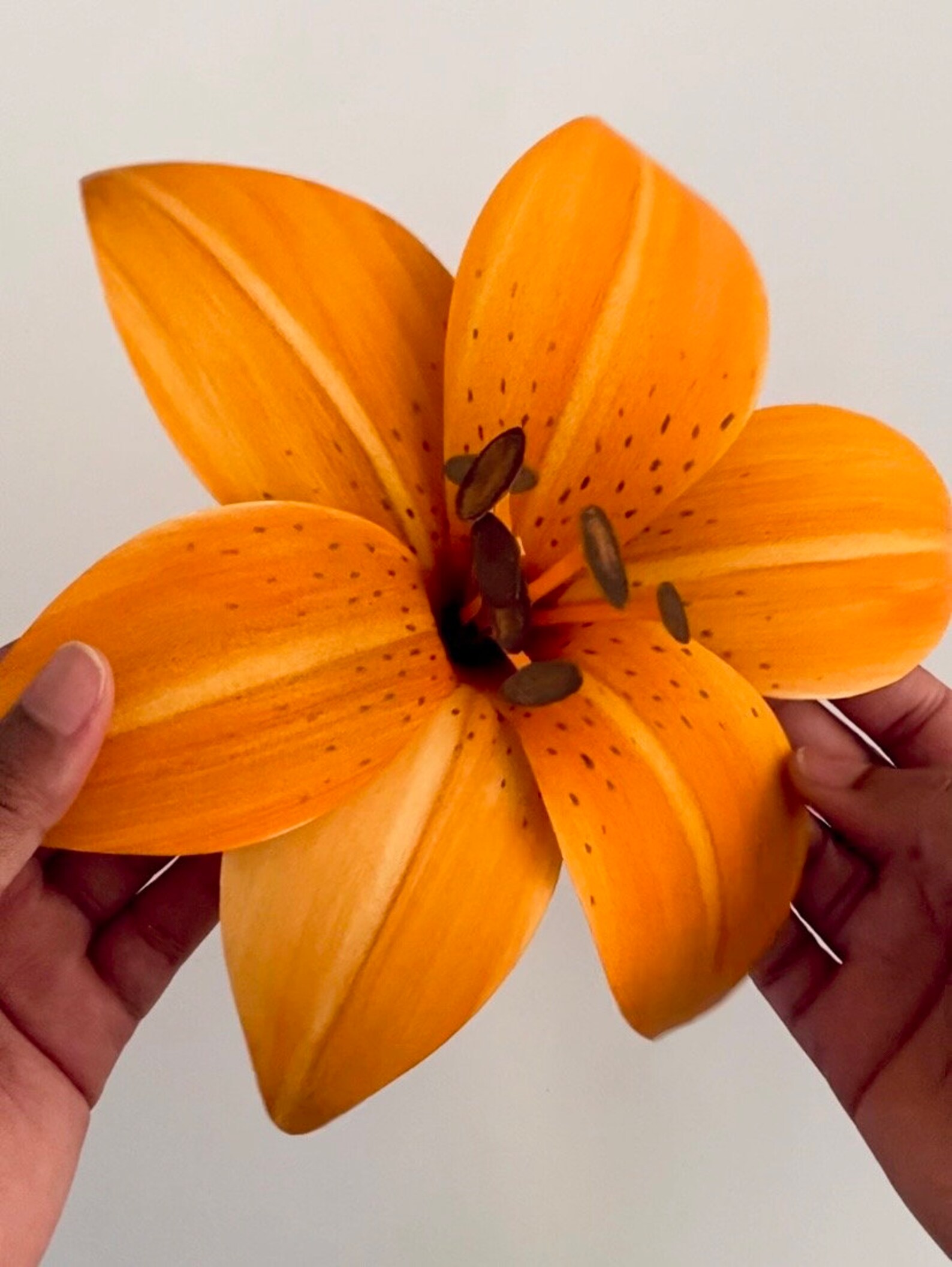 Lily Paper Flower Template: DIY Shadow Box Flowers (PDF Trace & Cut) - Etsy
