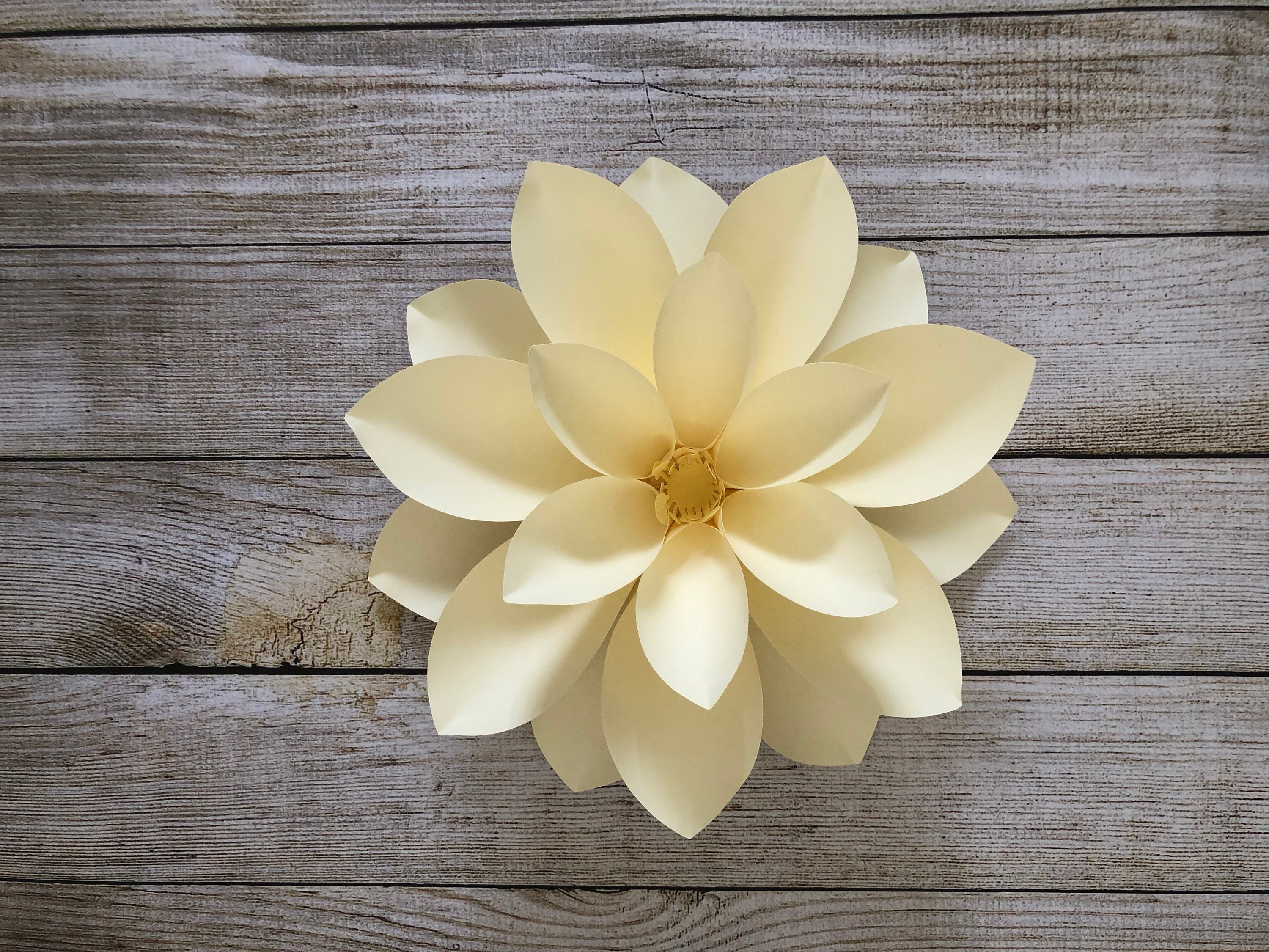 Large Paper Flowers Template Bundle: DIY Nursery & Wedding Decor (PDF ...
