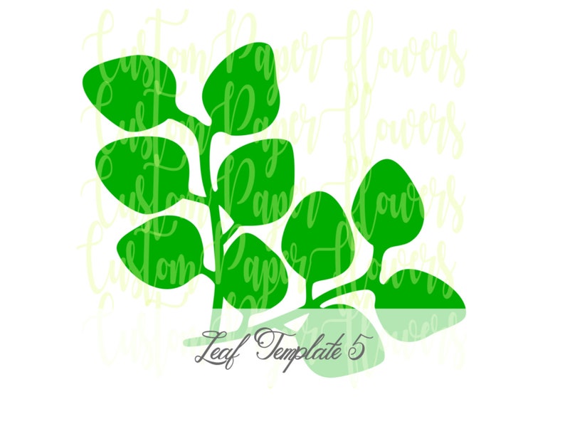 Paper Flower Leaf Templates: PNG & PDF Trace and Cut Files - Etsy