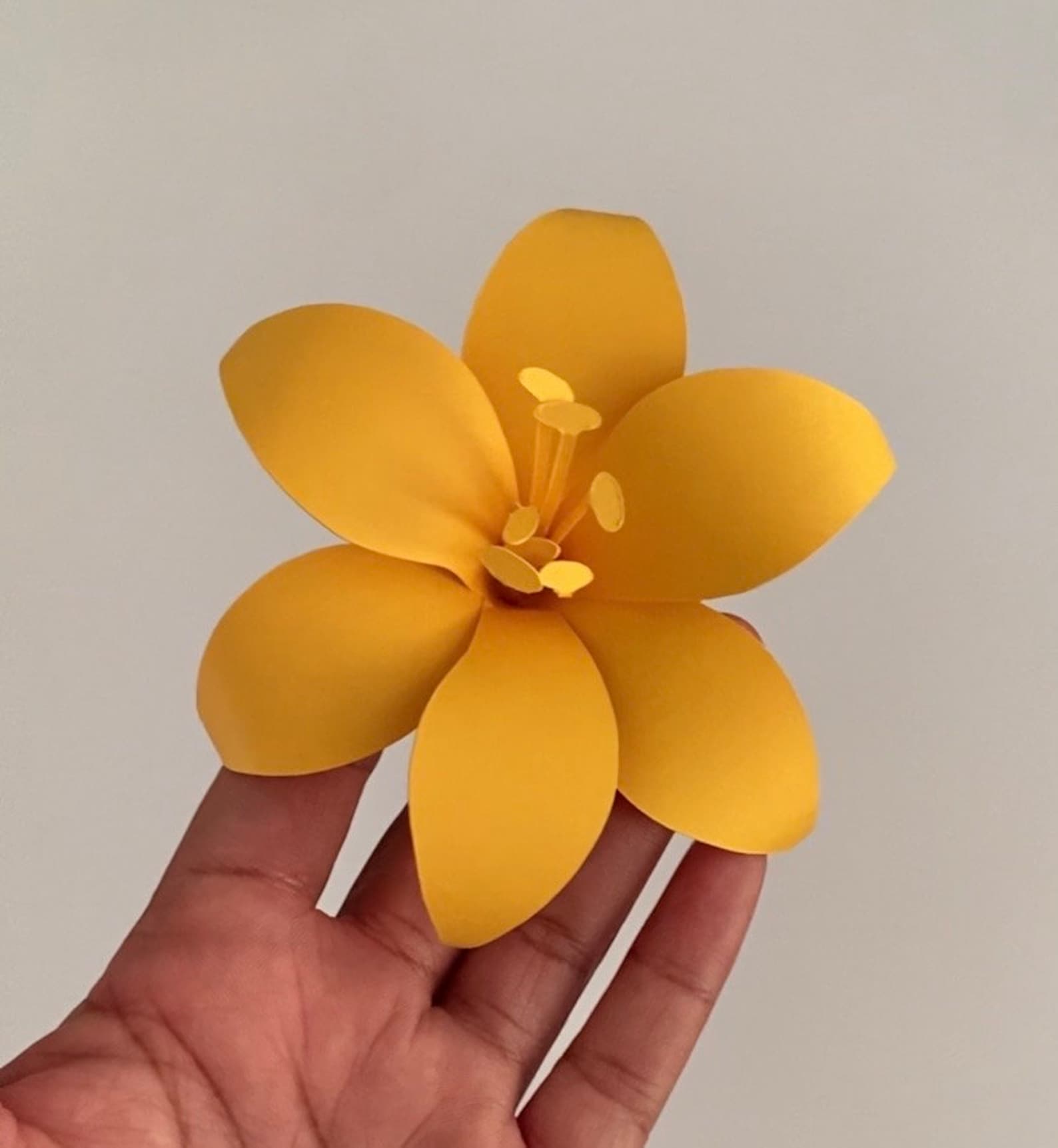Lily Paper Flower Template: DIY Shadow Box Flowers (PDF Trace & Cut) - Etsy