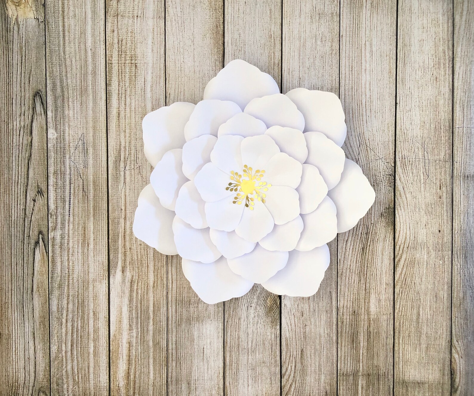 Paper Flowers Template for Large Paper Flowers and Giant | Etsy