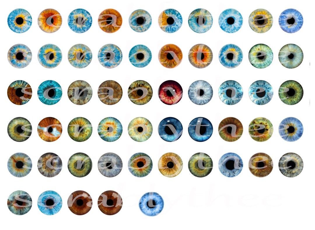 Realistic Blythe Eye Chips - Etsy
