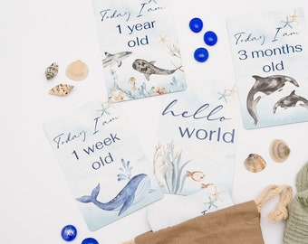 Shark Milestone Cards, Baby Milestone Ocean Life Discs Marker, Wood ...