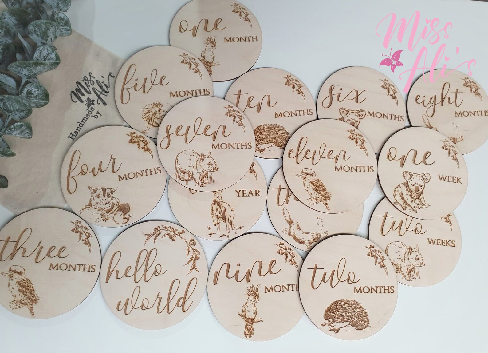 Baby Milestone Disc Australian Animals New Baby Gift | Etsy