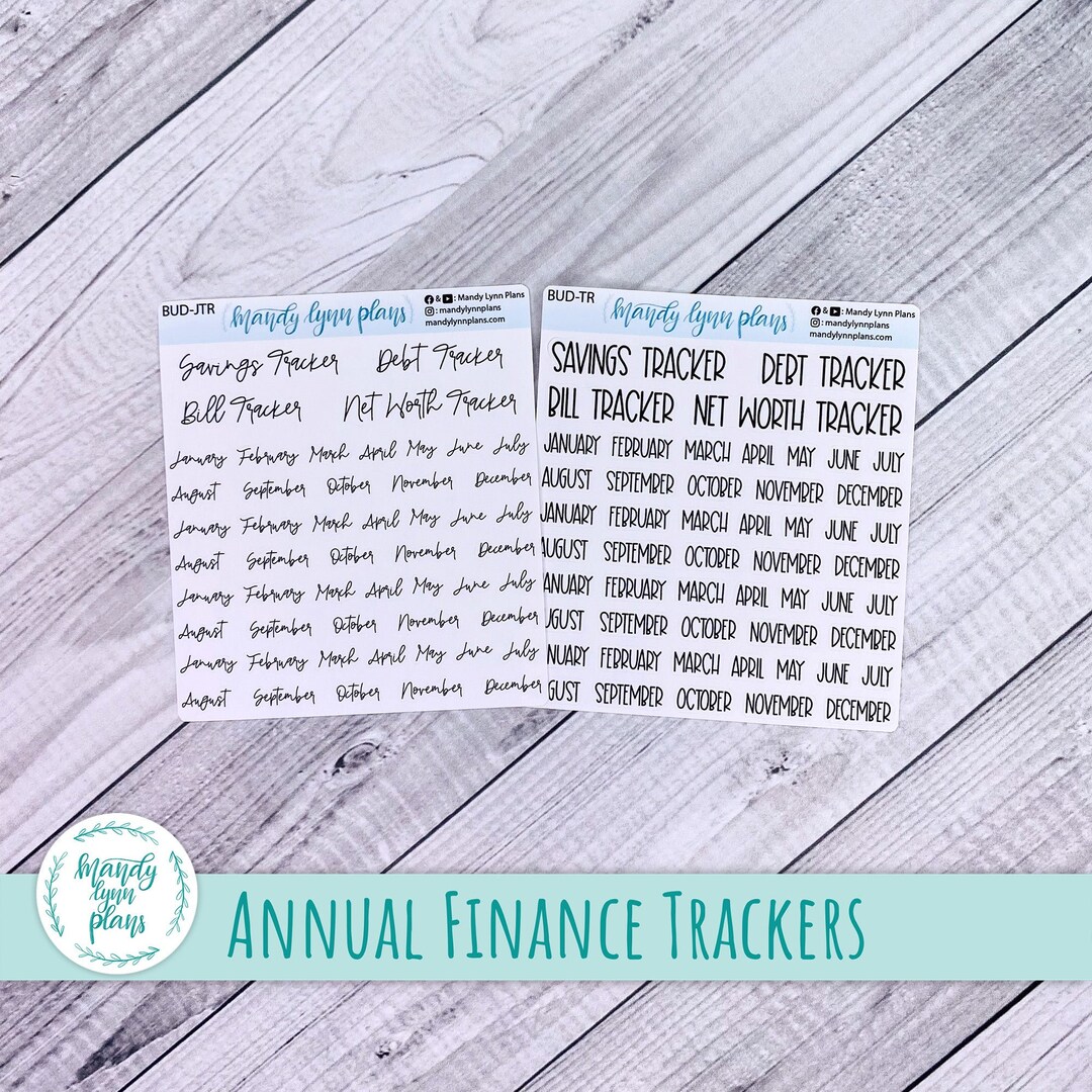 Budget Annual Finance Tracker Scripts - Etsy