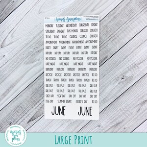 June Monthly Scripts Sheet || Hobonichi Cousin, Weeks, and A6 || Hand ...
