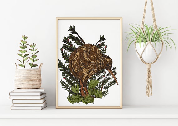 Kiwi / Kiwi Birds / New Zealand Art Print / Bird Illustration | Etsy