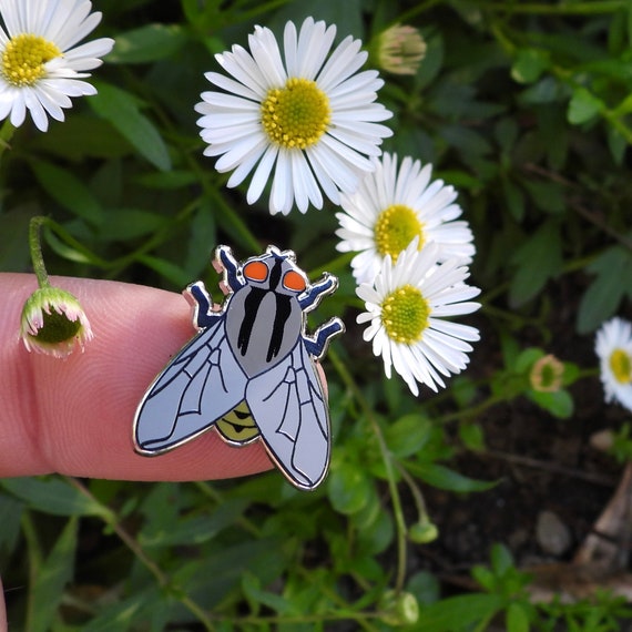 Australian Bush Fly Pin petit Edition - Etsy
