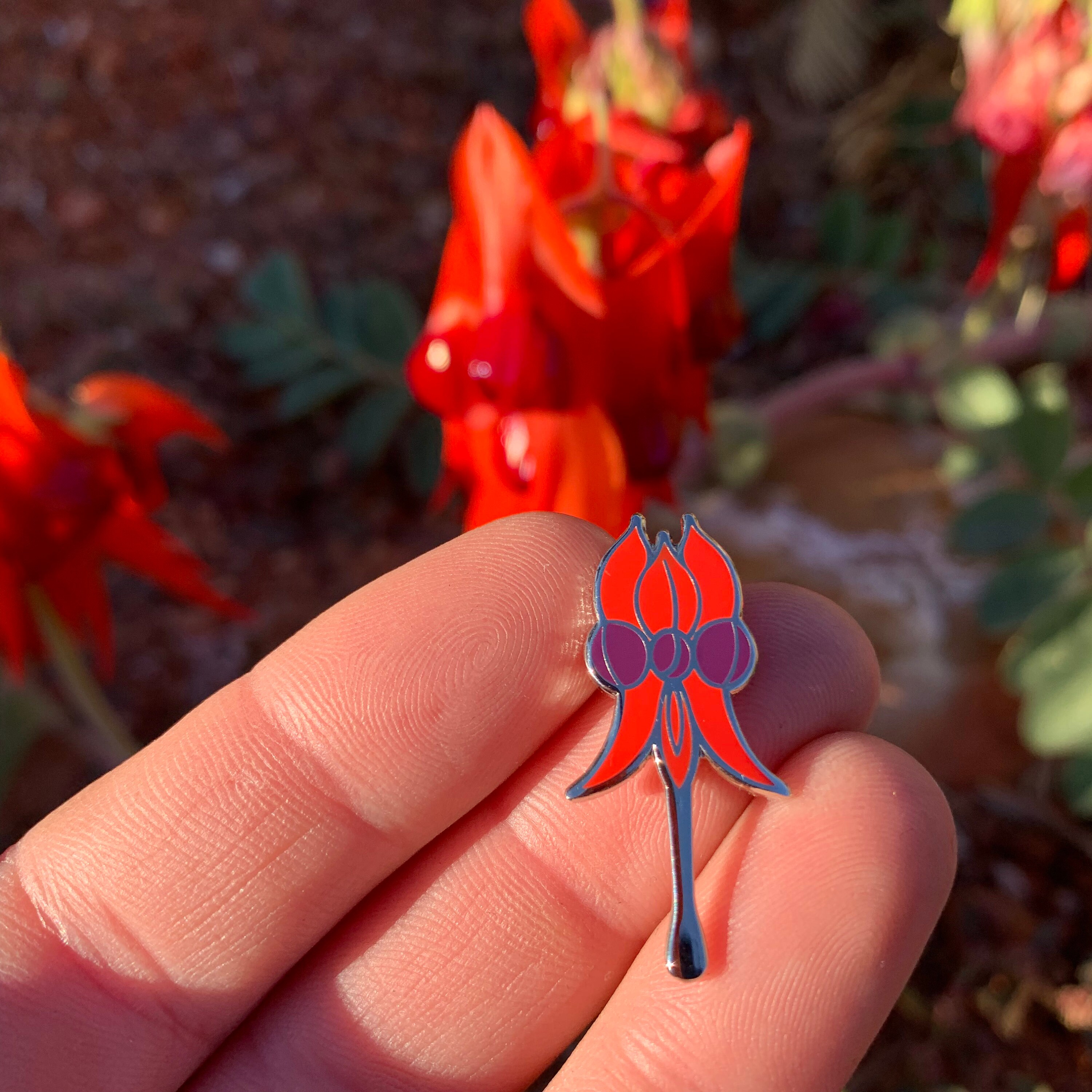 Sturt Desert Pea Pin - Etsy Australia