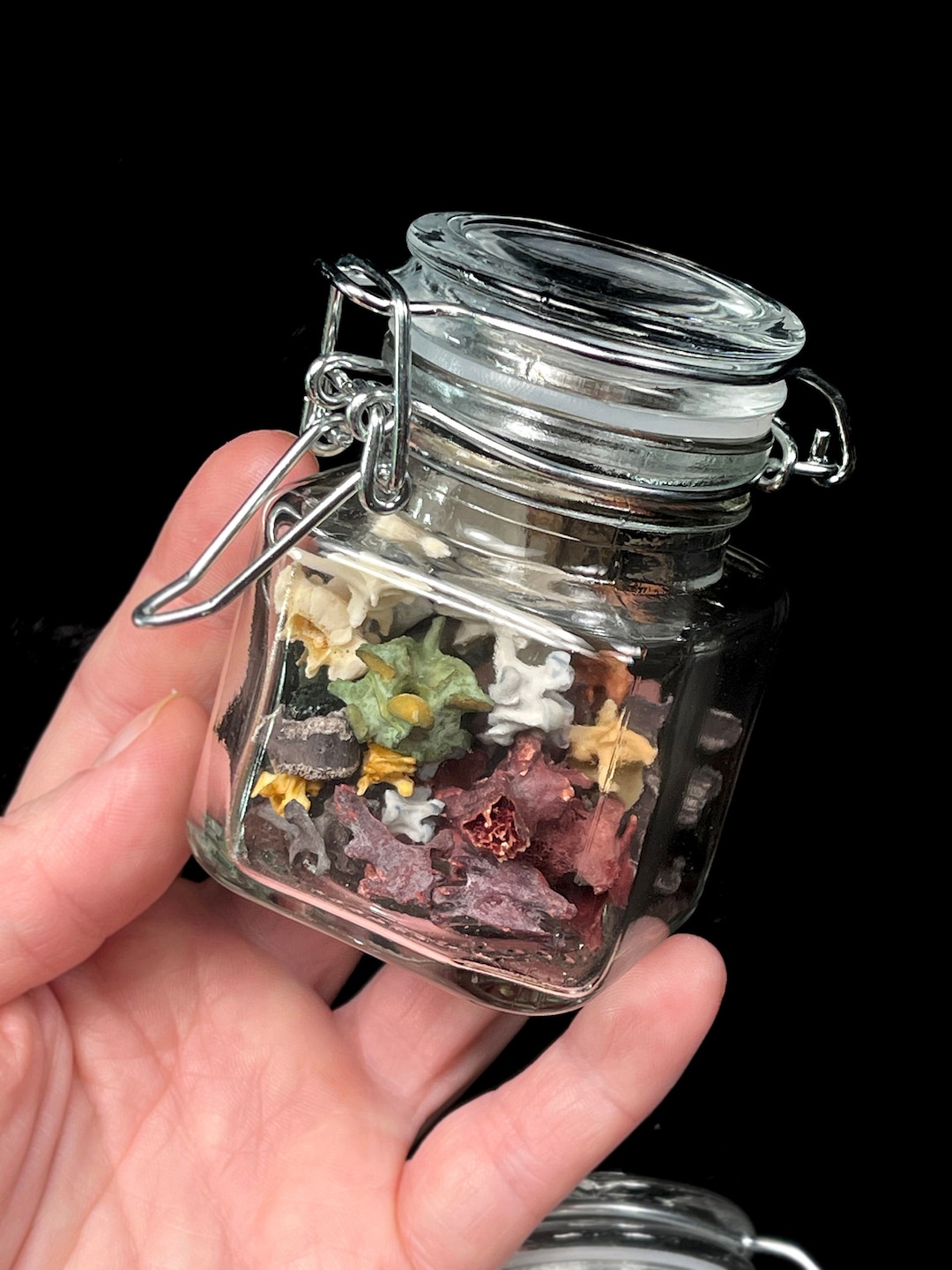Bone Jar, Snake Vertebrae, Vial, Curio Vial, Spine, Boa, Python, Bones ...