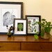 Ireland Thistle Block Print With Mat Botanical Print - Etsy