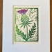 Spear Thistle Colorful Block Print - Etsy