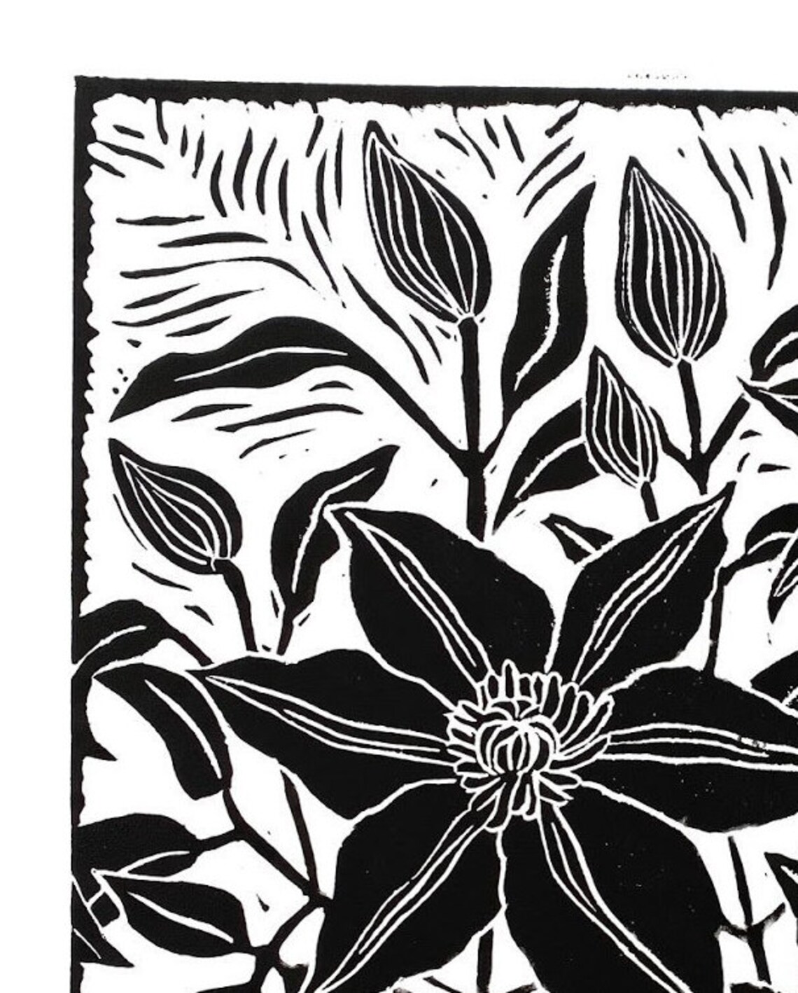 Large Linocut Print Clematis in June Handmade Block Print - Etsy
