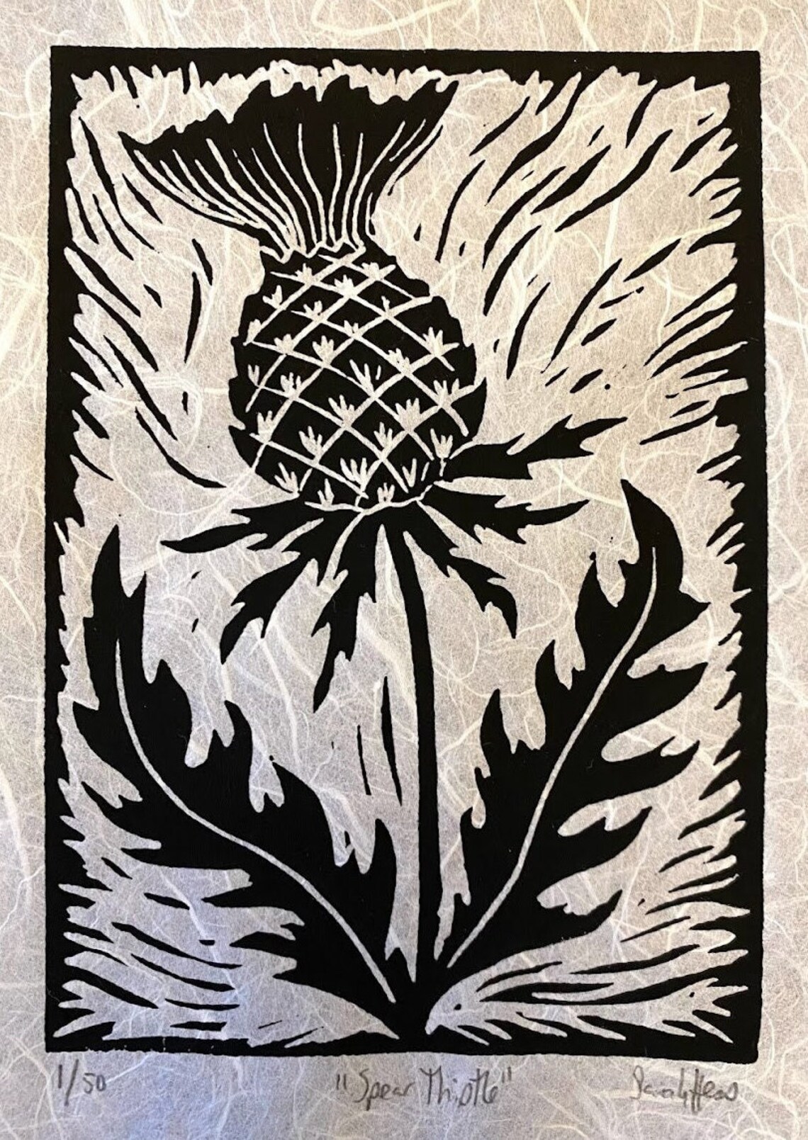 Spear Thistle - Linocut Block Print - Wild Flower - Black and White ...