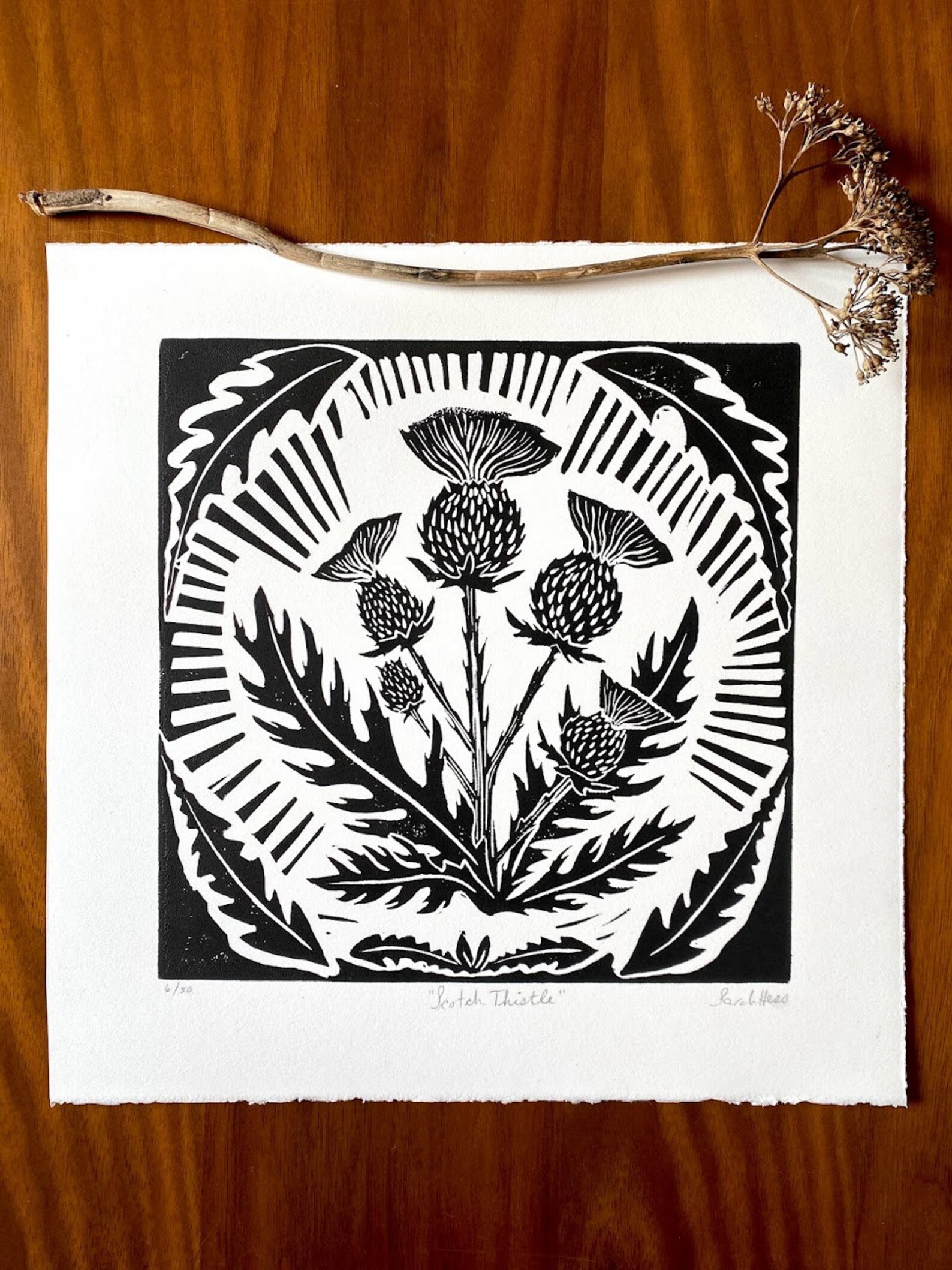 Scotch Thistle Black & White Block Print Linocut Scotch - Etsy