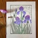 Iris Linocut Print Large Block Print Purple Iris - Etsy