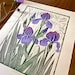 Iris Linocut Print Large Block Print Purple Iris - Etsy