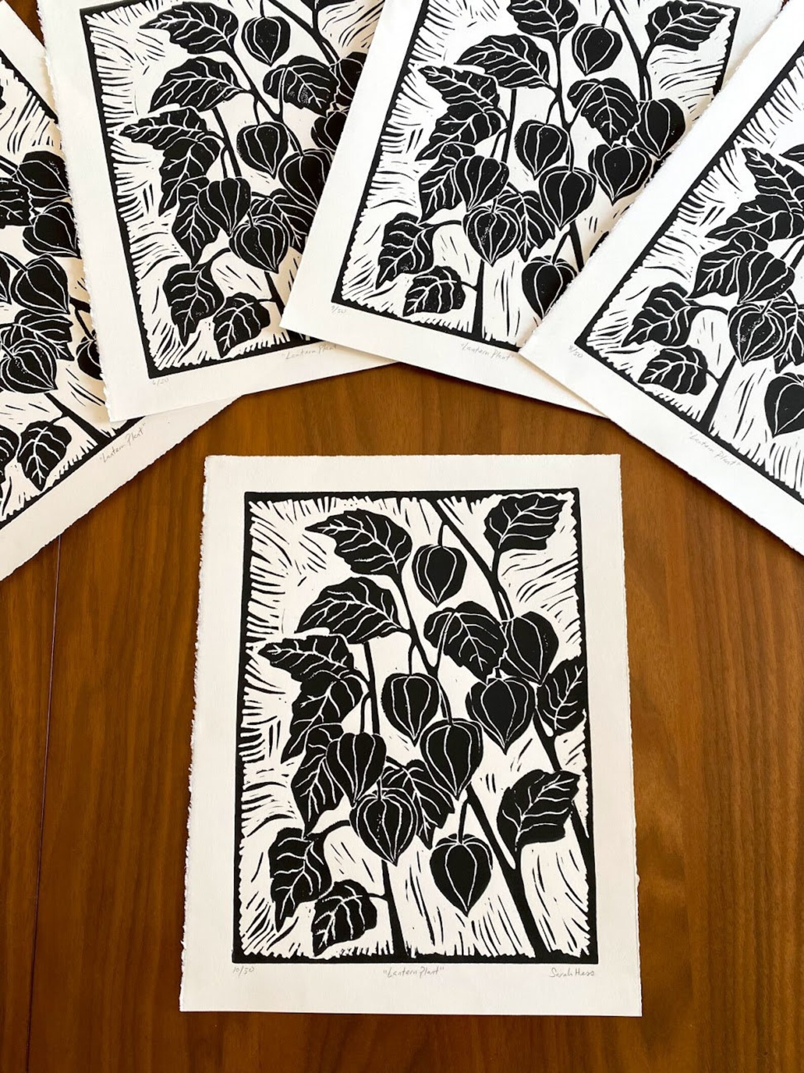 Lantern Plant Block Print – Handmade Linocut Art - Etsy
