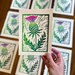 Spear Thistle Colorful Block Print - Etsy
