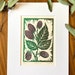 Blackberries Color Block Print Linocut Print Berry Art - Etsy