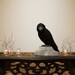 Raven Papercraft 3D DIY Low Poly Paper Crafts Halloween Model and Wall ...