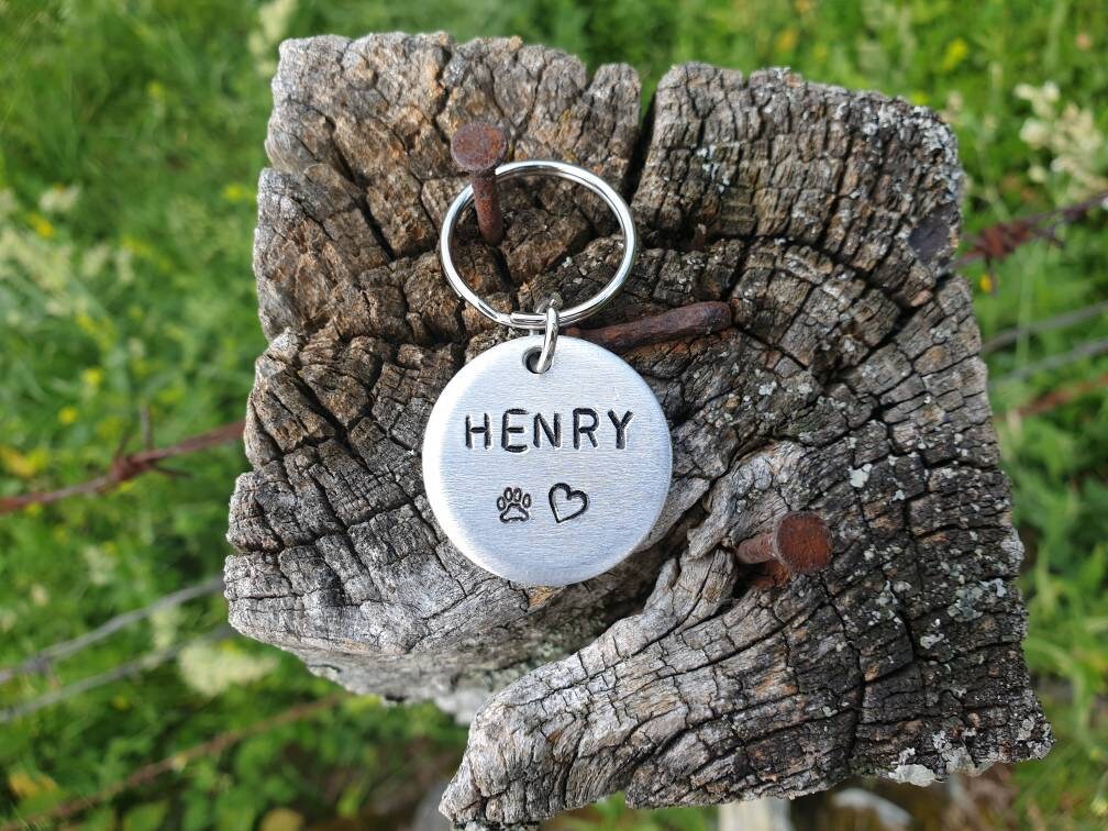 Henry Nombre del perro Etiqueta de mascota Etiqueta de cachorro ...